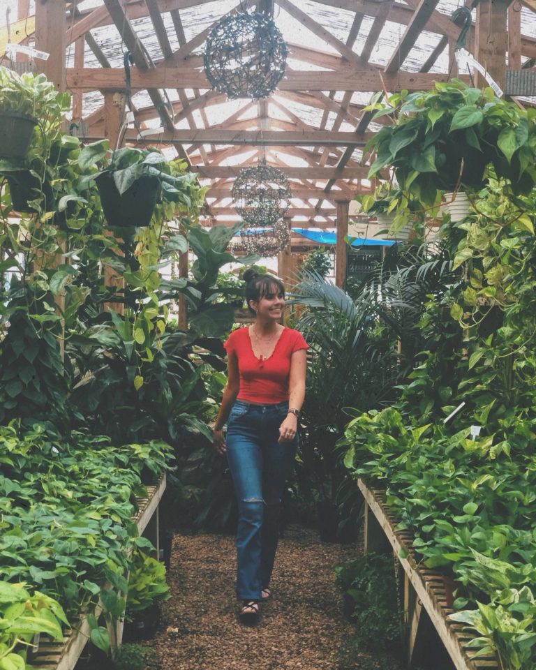 Starting Your Own Witch’s Garden – Cazmera
